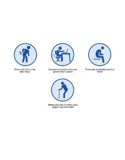 Bio-Ray Back Support Waist Belt - EBENE Singapore