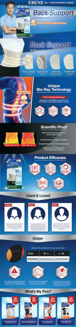 Bio-Ray Back Support Waist Belt - EBENE Singapore